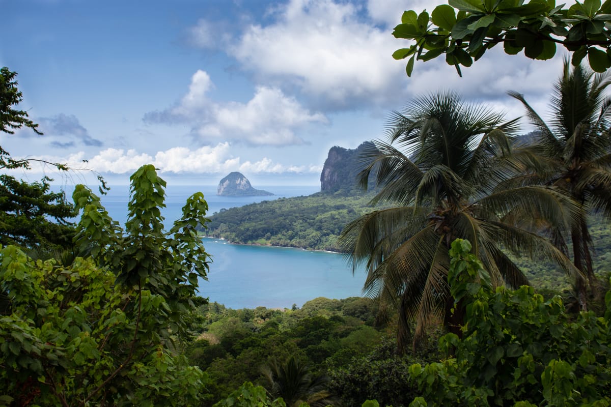 Guide to the Cheapest Citizenship by Investment Countries in 2025