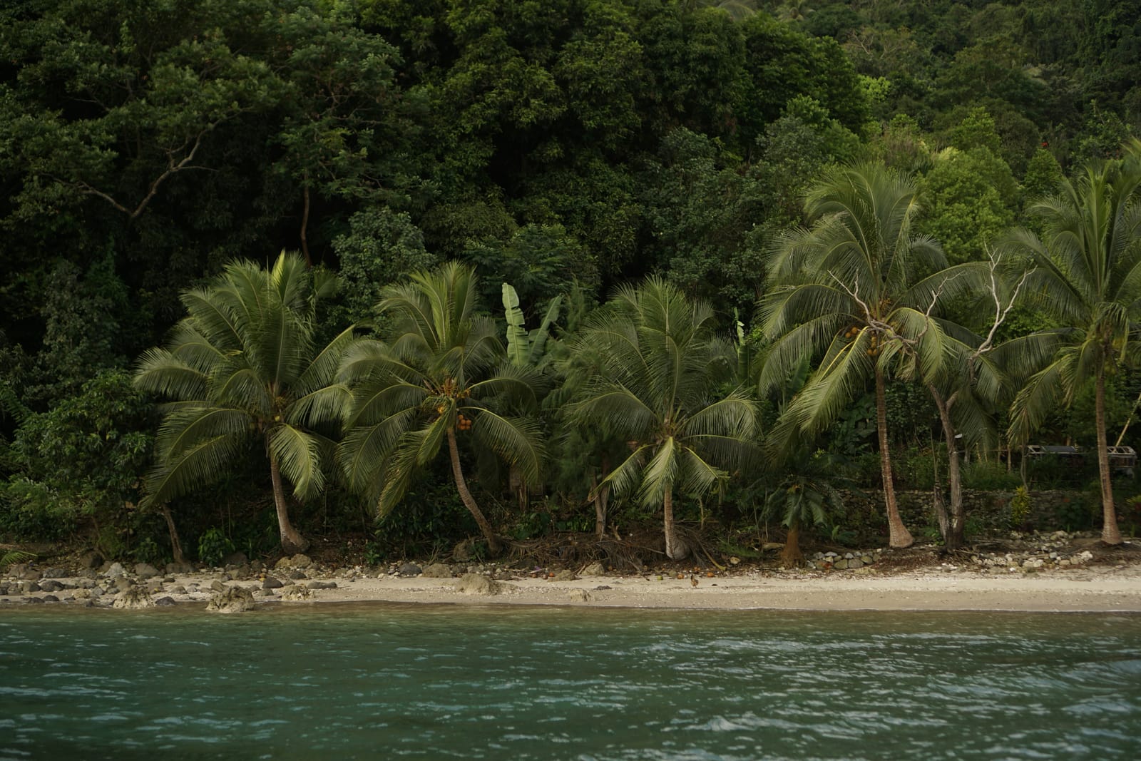 Guide to Vanuatu Citizenship by Investment Program for 2025