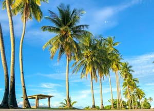 Guide to KYC on Coinbase With a Nauruan Passport